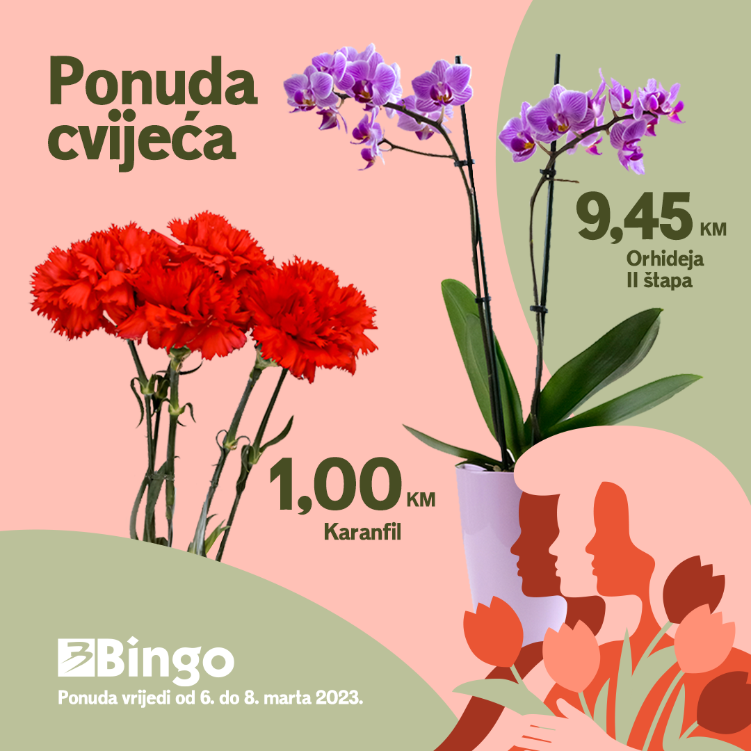 Akcijska ponuda cviječa - Najveći trgovački lanac u BiH